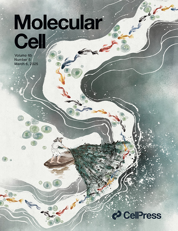 科云科研美学-锐竞学术