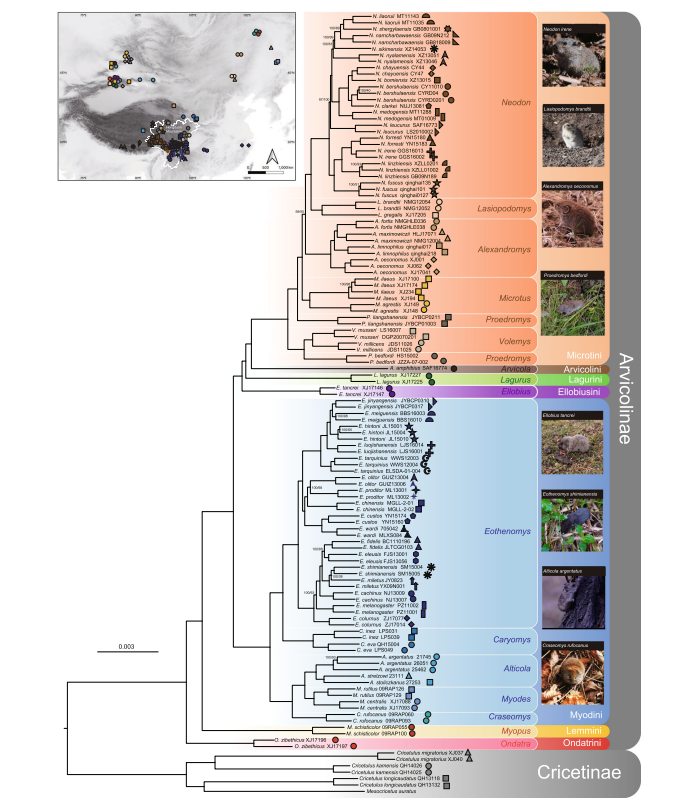 生物多样性与进化实验室-锐竞学术