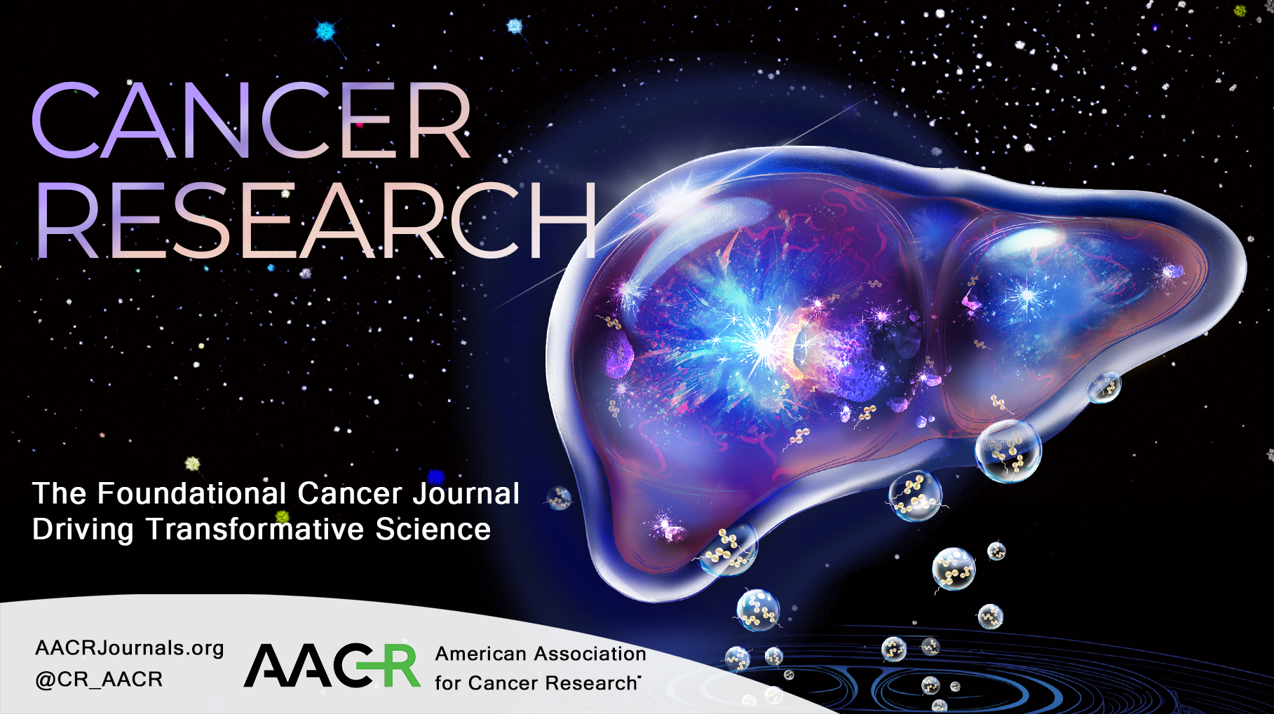 科云科研美学-锐竞学术