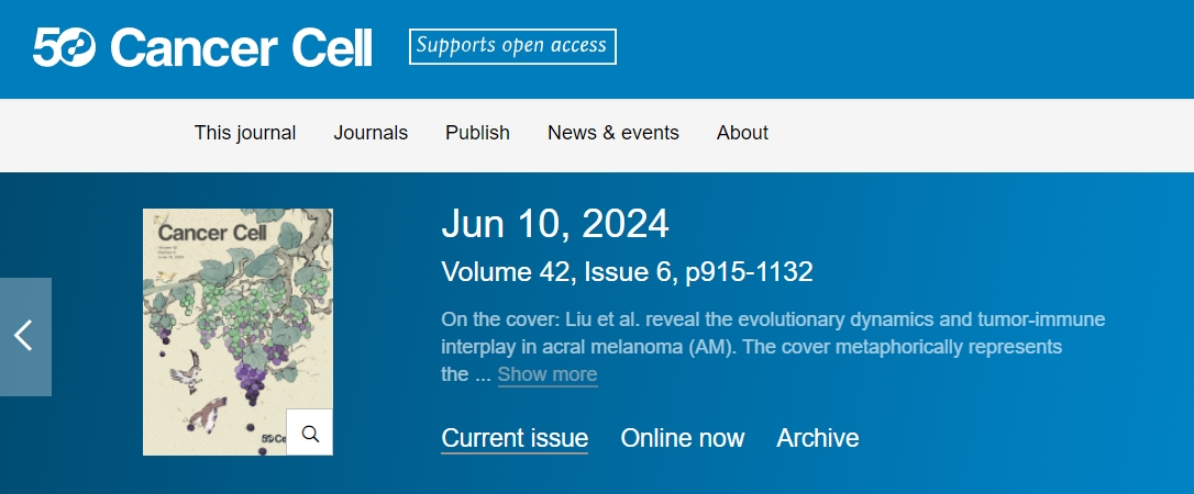 科云科研美学-锐竞学术