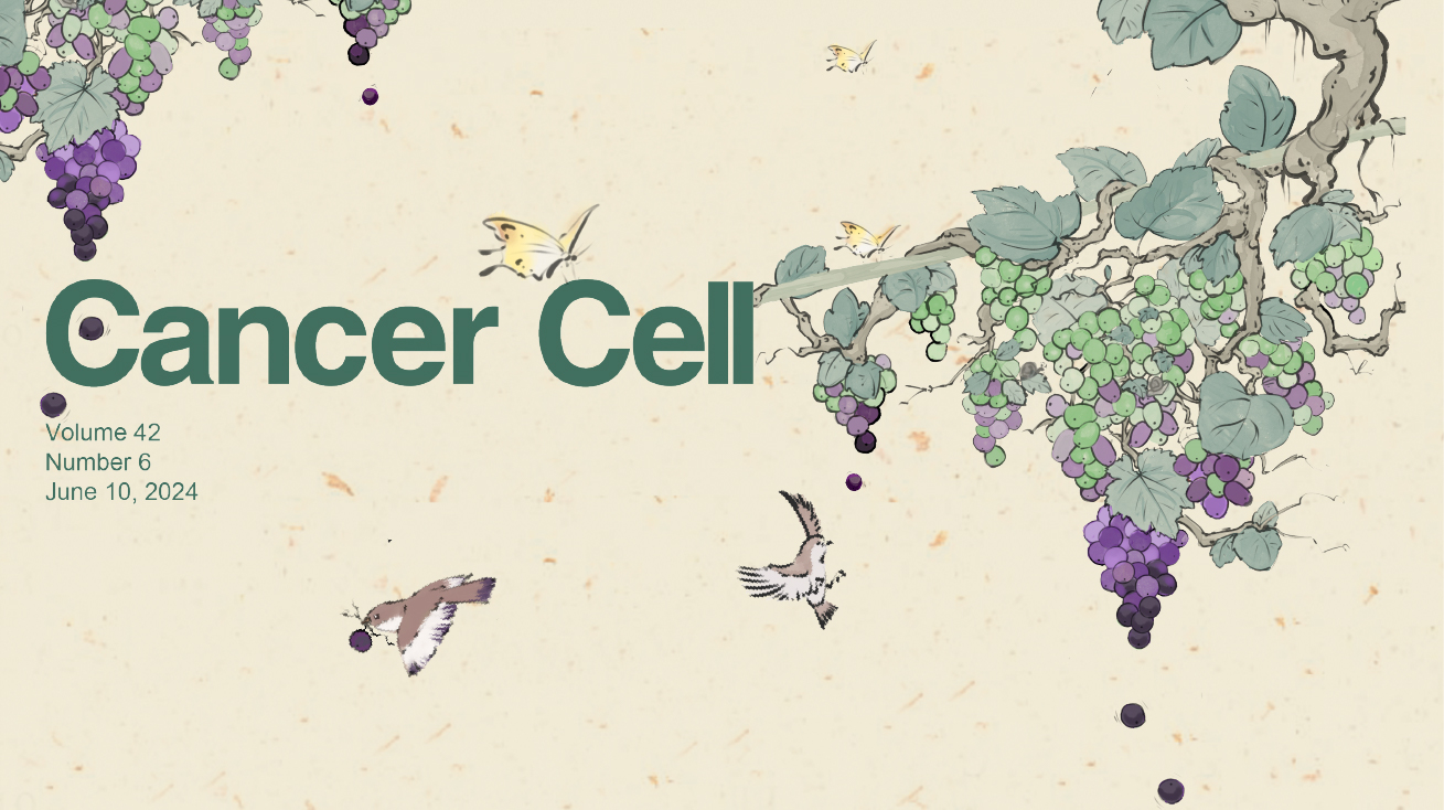 科云科研美学-锐竞学术