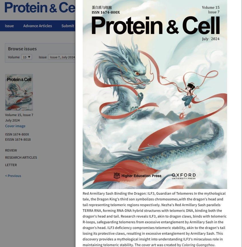 科云科研美学-锐竞学术