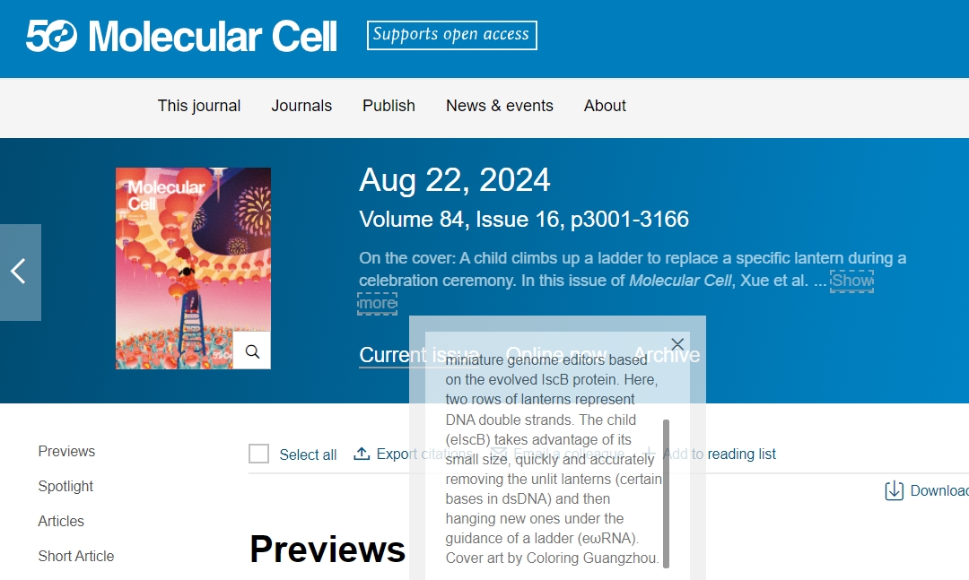 科云科研美学-锐竞学术