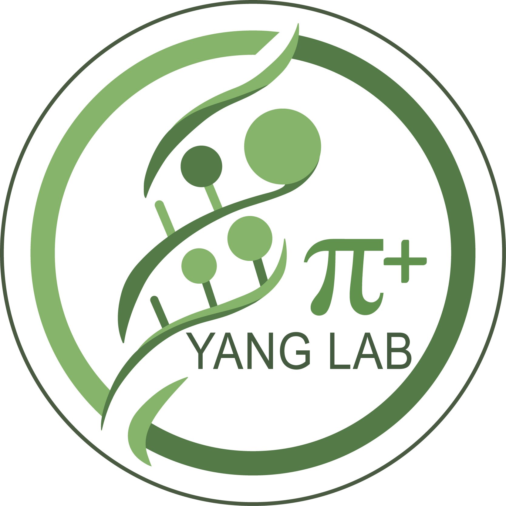 YANG LAB(π +)-郑州大学|锐竞学术
